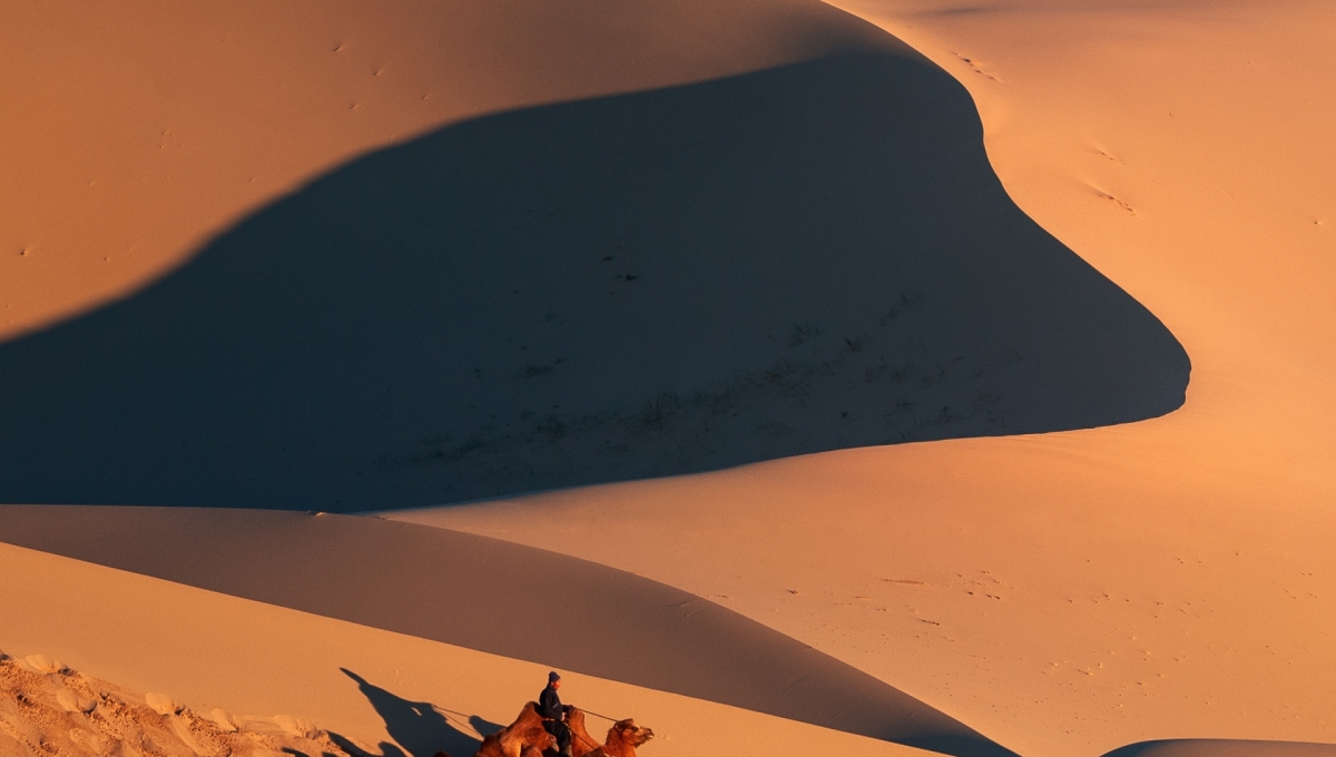 Gobi Horizons: 10 Days of Discovery and Peace