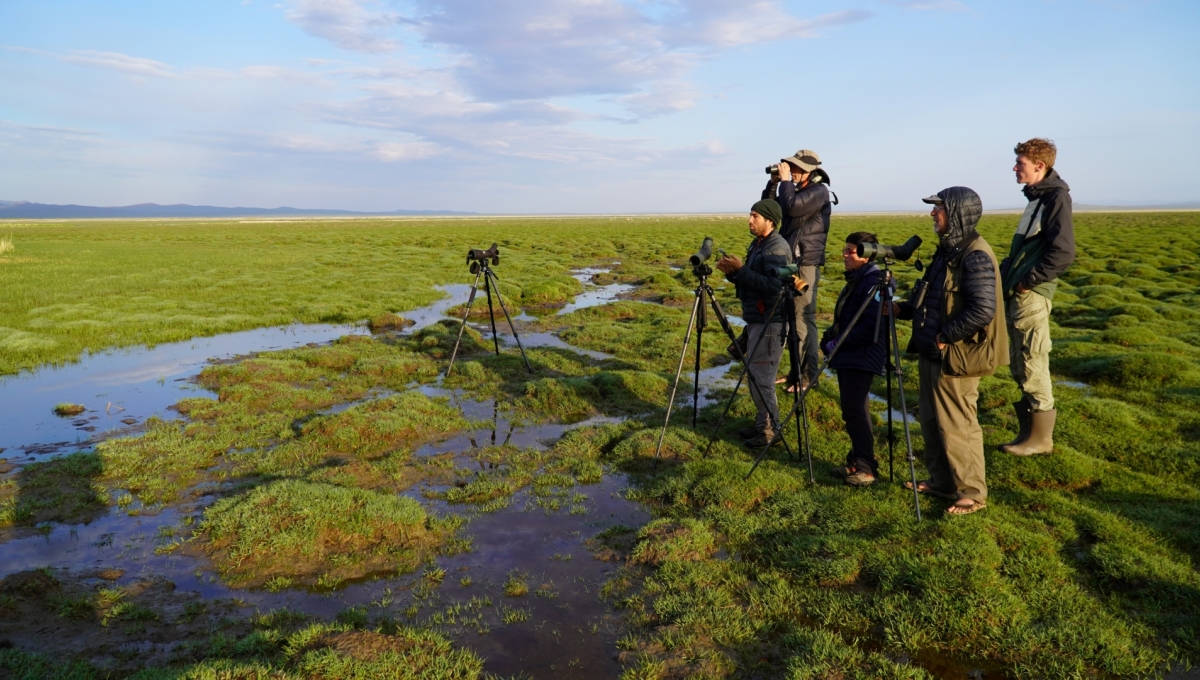 Spring bird watching tour with Ornis Birding Expeditions. | Bolormunkh ...