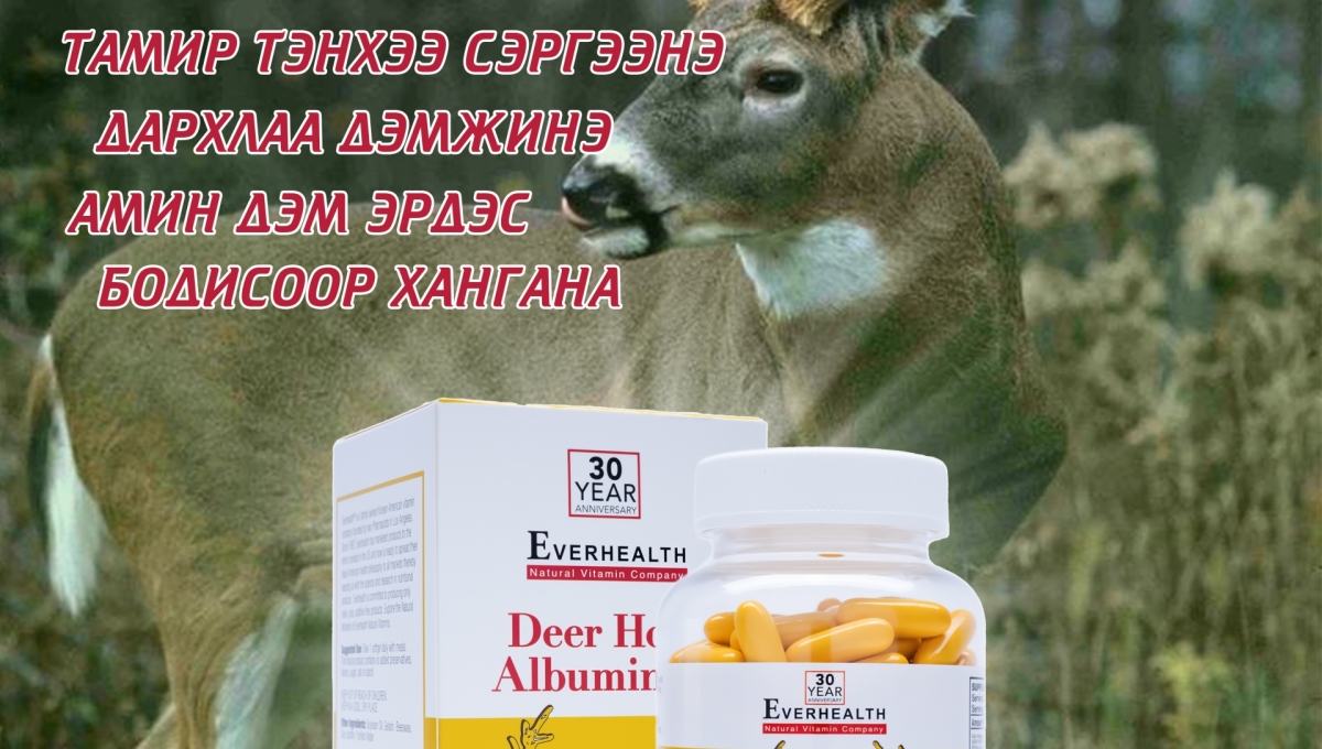 Albumin-33 | Мөнхийн тун