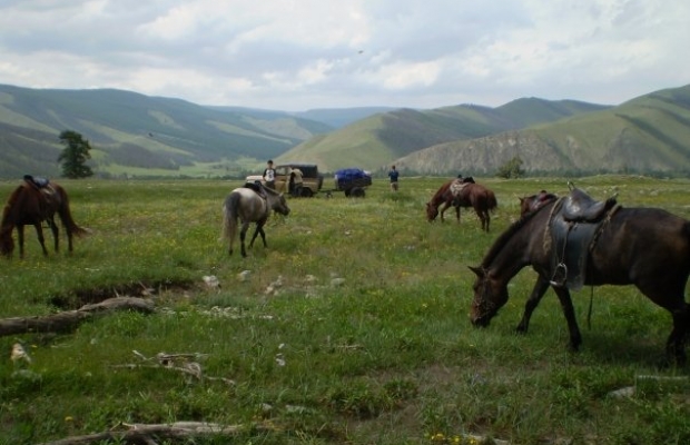Why I love Mongolia | Mongolia Explorer Tour