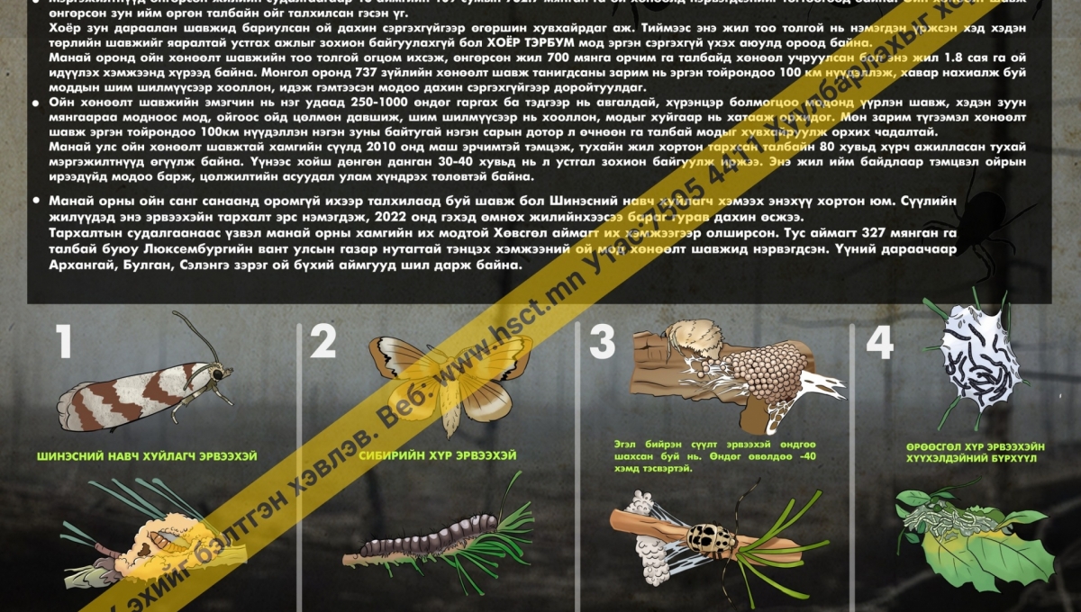 Ойн хөнөөлт шавж D1d270 ХАБ ын самбар Safety Board Аюулгүй