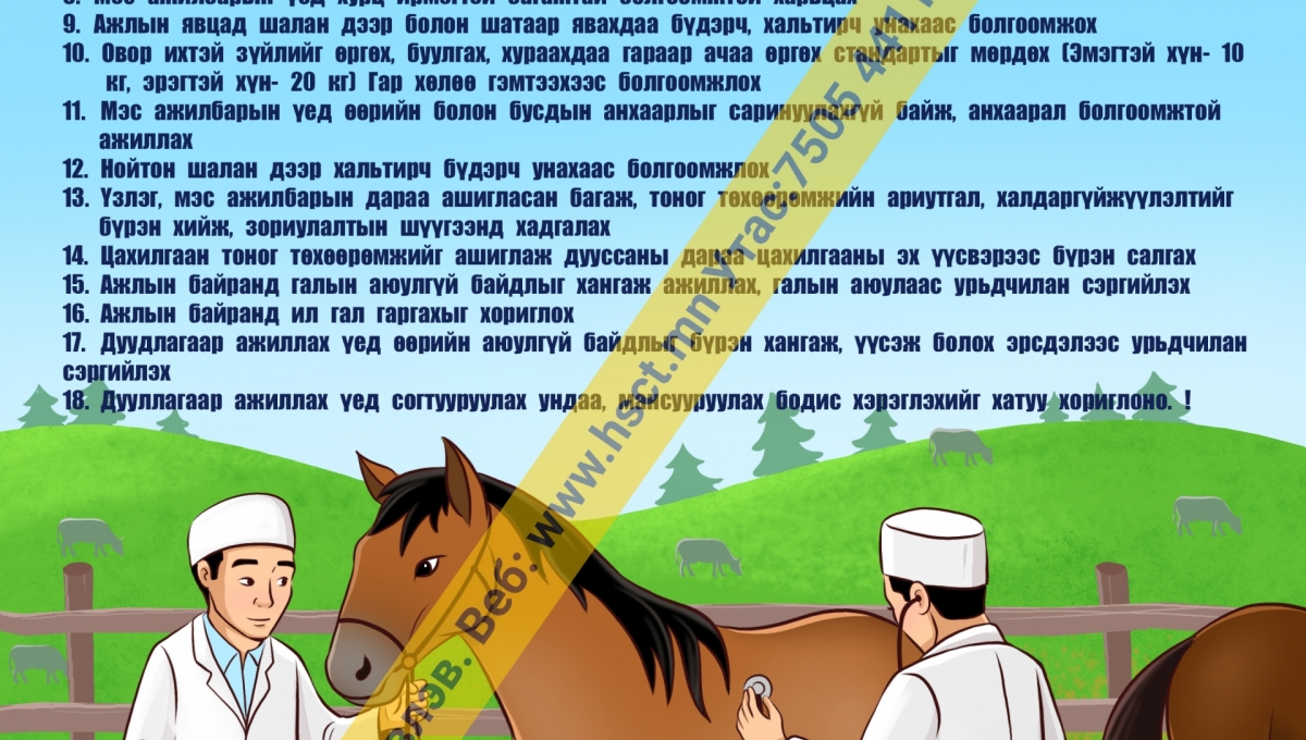 Малын эмчийн аюулгүй ажиллагааны зааварчилгаа ХАБ ын самбар Эйч