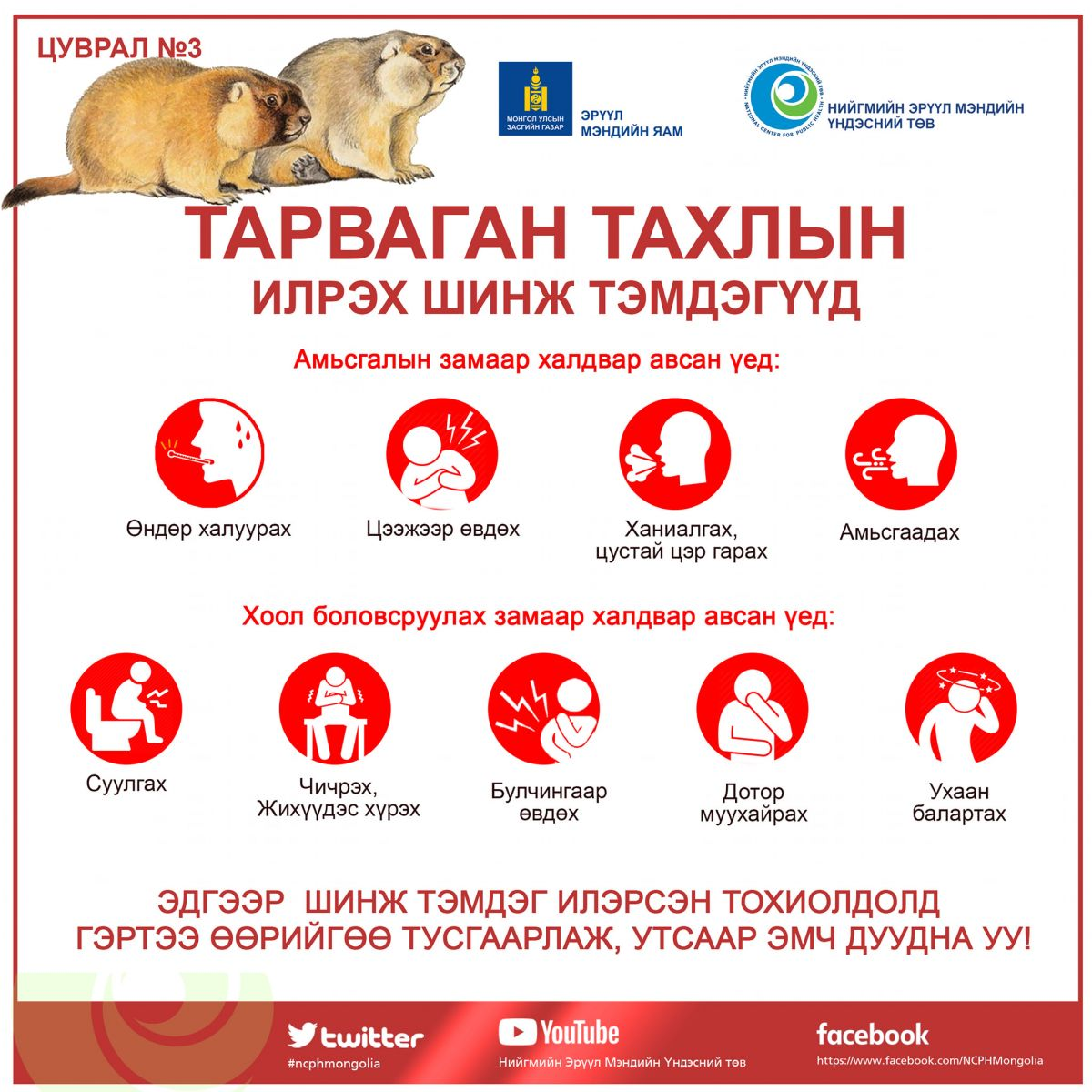 Тарваган тахлын үед ямар шинж тэмдэгүүд илрэх вэ Говь алтай аймгийн