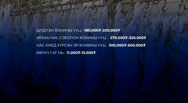 ҮСХ: Судалгаагаар ууцны үнэ өмнөх оны мөн үеэс 62 хувиар өссөн | МОНГОЛ ТВ
